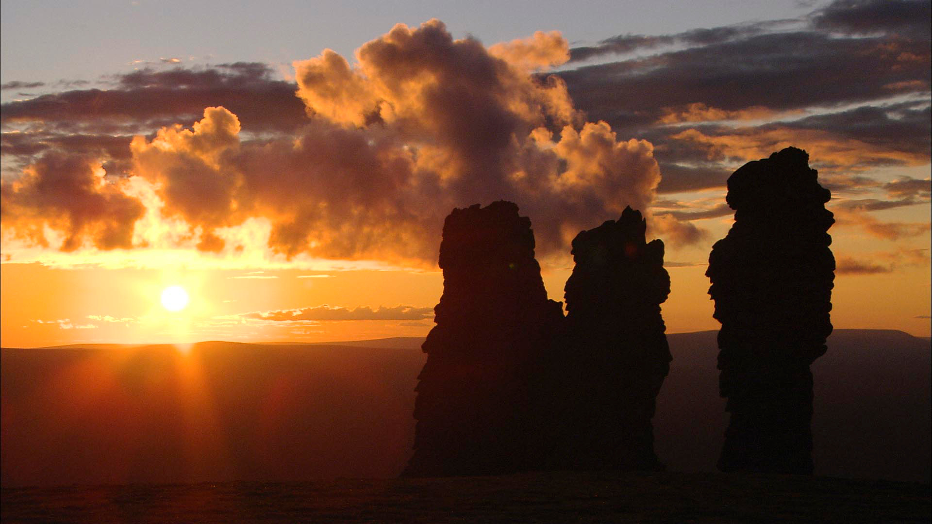 TIERWELT Live | Wildes Russland (2)